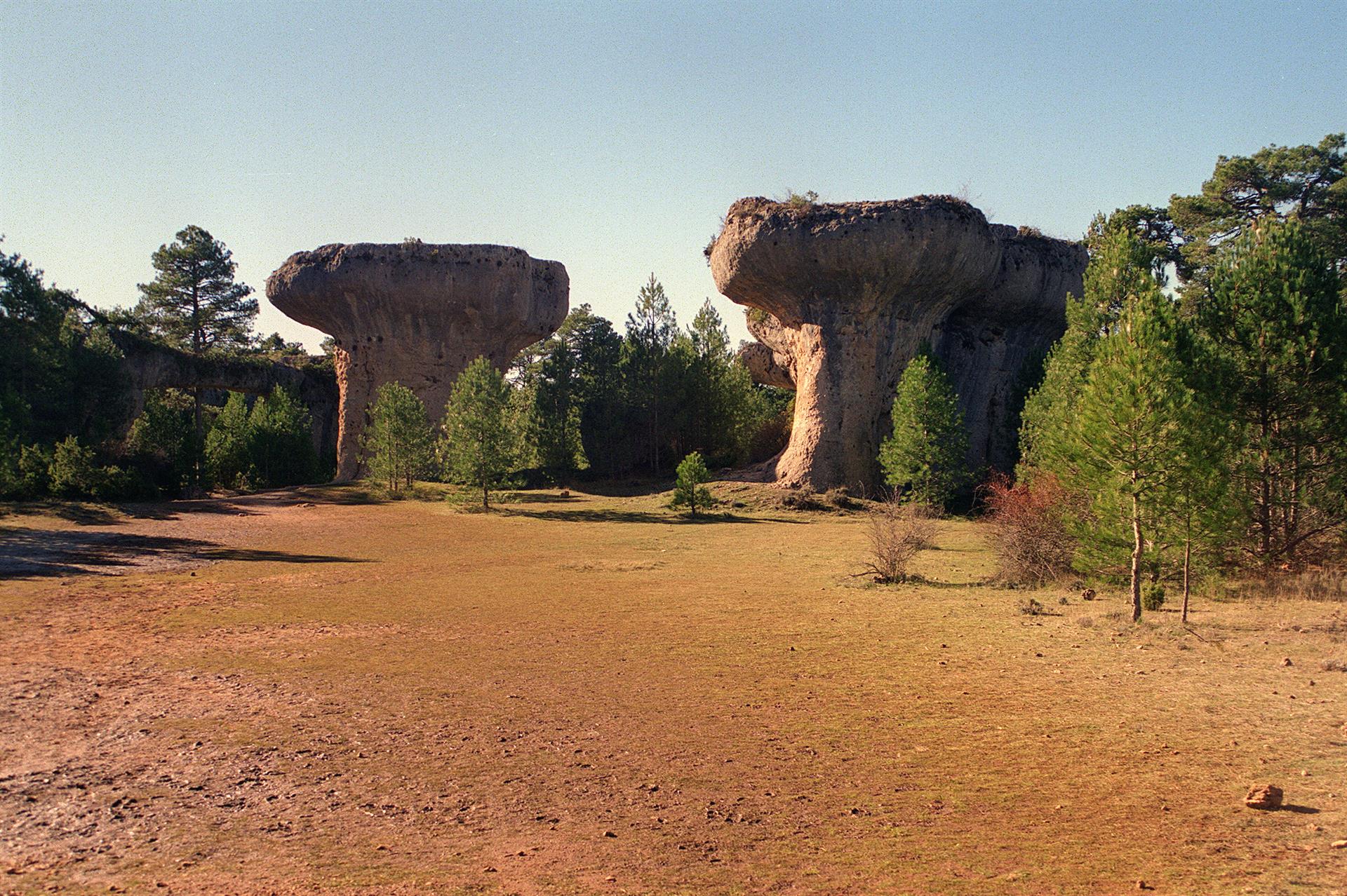 ¿Qué es la pareidolia y por qué vemos caras en objetos? - Noticias de ...