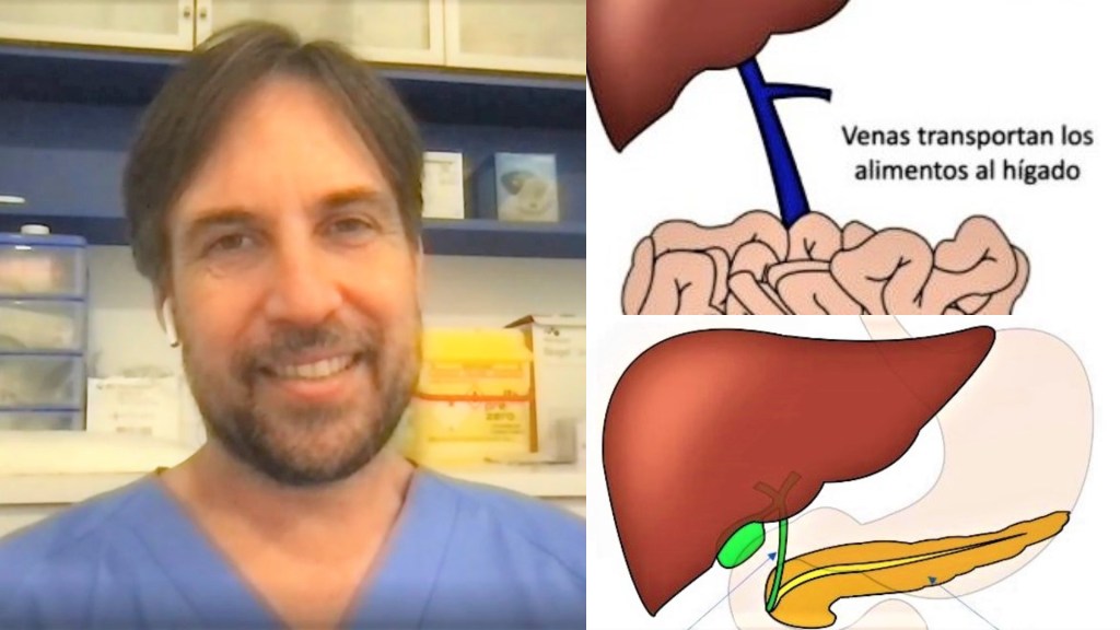 Enrique de Madaria Pascual - EFE Salud