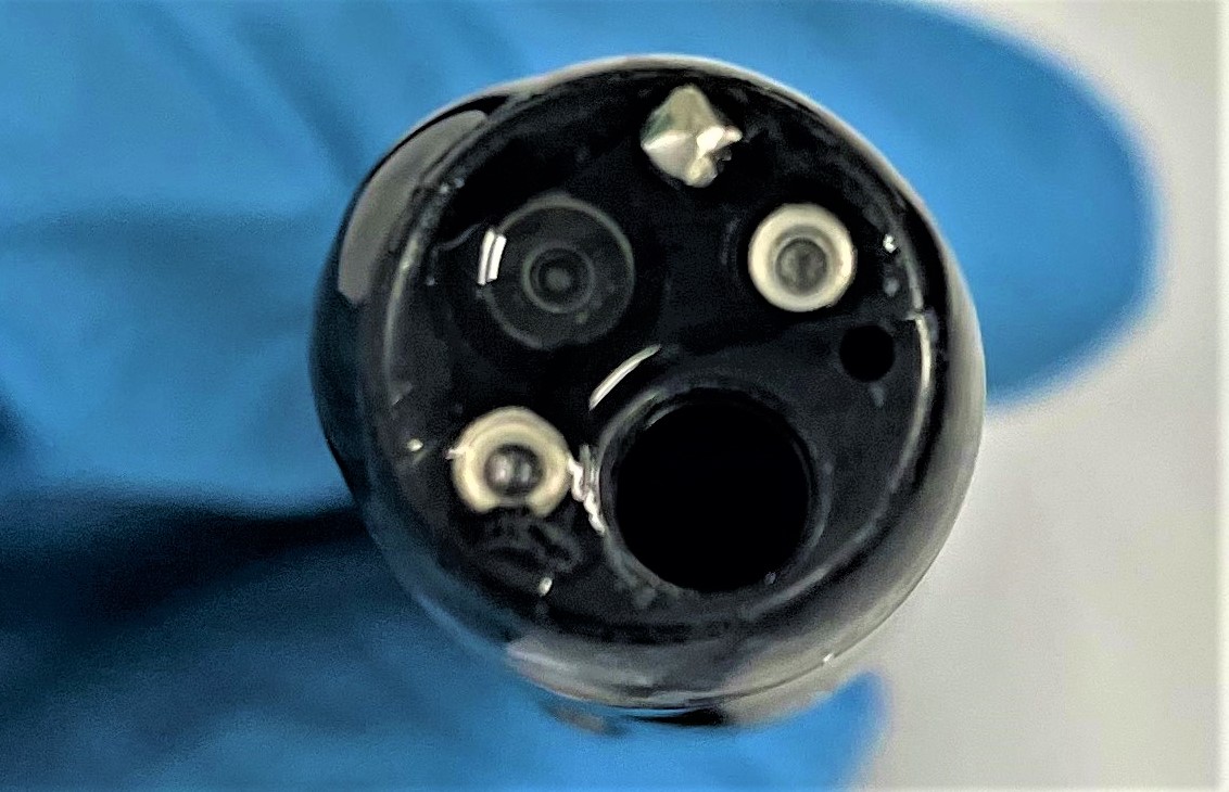 Los secretos del endoscopio digestivo