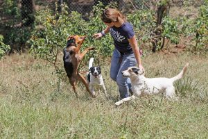 ¿Tienes miedo a los perros? Te contamos qué es la cinofobia