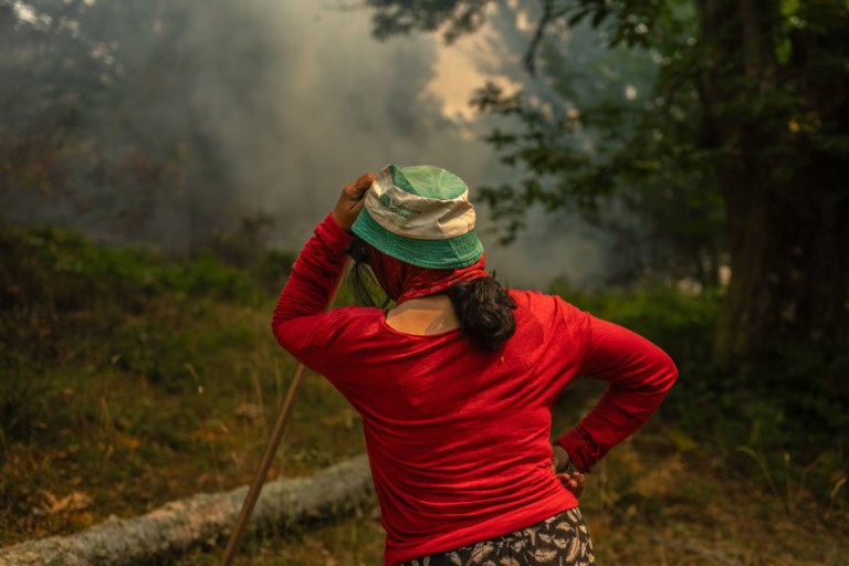 Cómo empezar de cero cuando los incendios te lo arrebatan todo - EFE Salud
